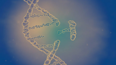 Genome-Edited Crops and the National Bioengineered Food Disclosure ...