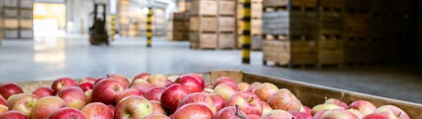 Review of Food Safety Needs to Export from the USA - EAS Consulting Group