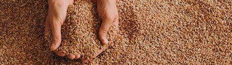 Health Claims and Dietary Fiber - EAS Consulting Group